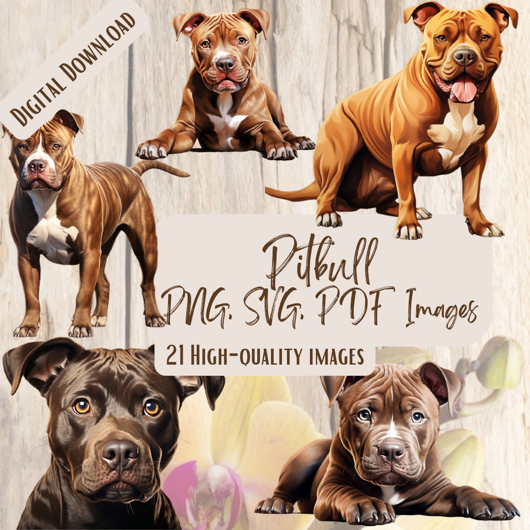 Pitbull PNG SVG Bundle 21 Images Digital Printable Vector Instant ...