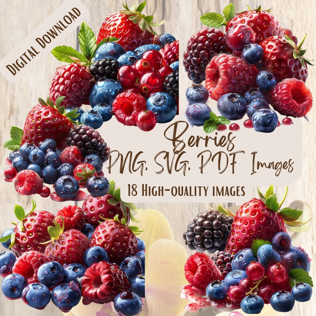 Berries PNG SVG Bundle 18 Images Digital Printable Vector Instant ...