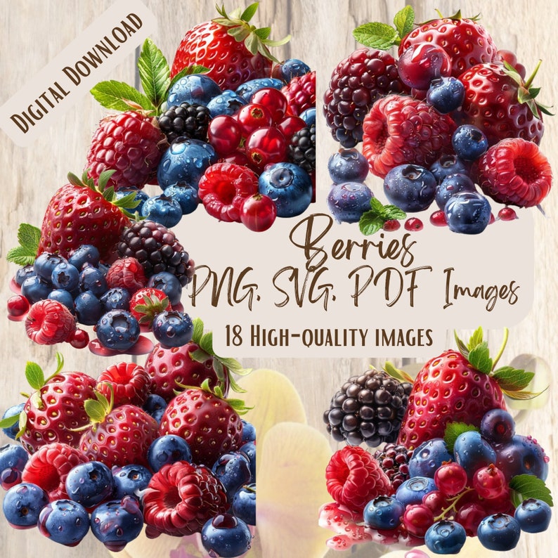 Berries PNG SVG Bundle 18 Images Digital Printable Vector Instant ...