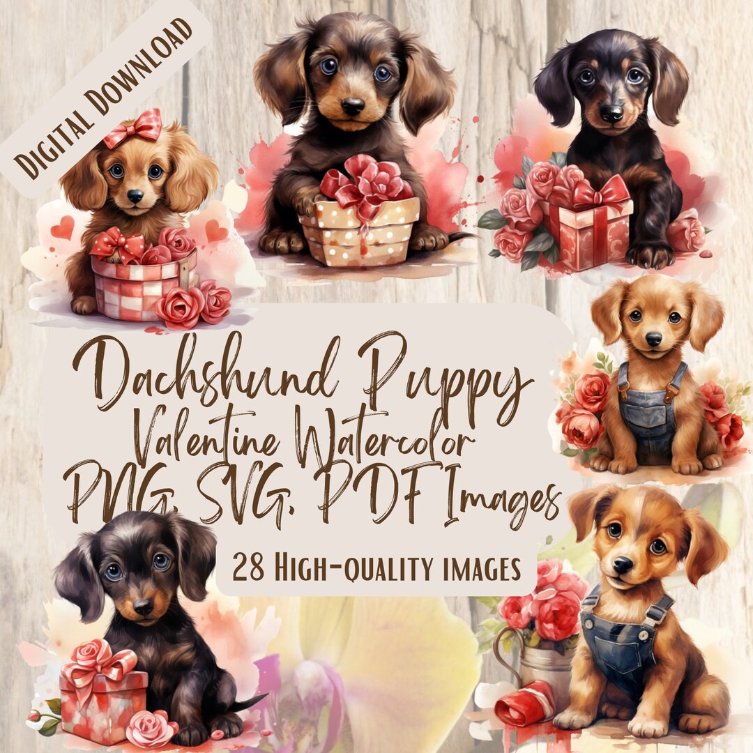 Dachshund Puppy Valentine PNG SVG Bundle, 28 Cute Dog and Love Designs ...