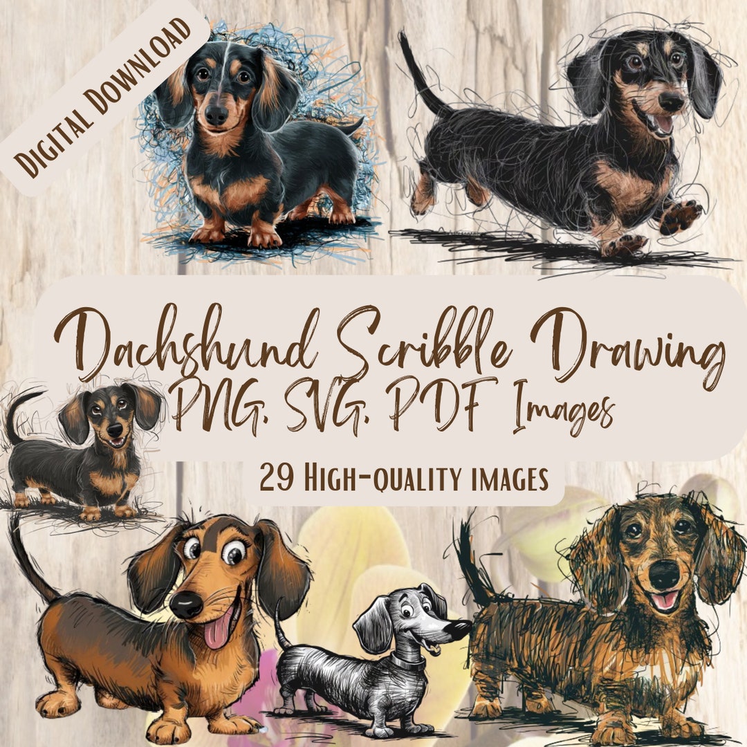 Dachshund Scribble Drawing PNG SVG Bundle, 29 Drawn Dog Clipart Designs ...