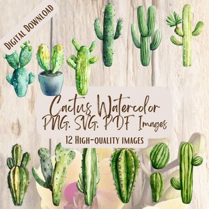 Cactus Watercolor PNG SVG Bundle, 12 Hand-painted Succulent Clipart ...