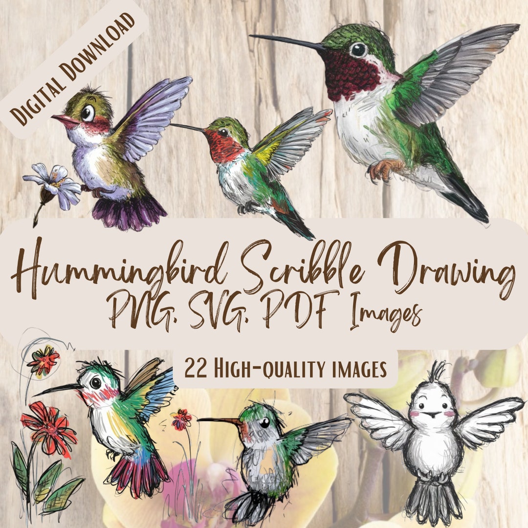 Hummingbird Scribble Drawing PNG SVG Bundle, 22 Sketch-style Bird Clipart Designs for Crafts ...