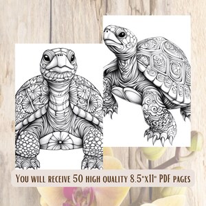 50 Turtle Coloring Pages, Cute and Intricate Turtle Designs for ...