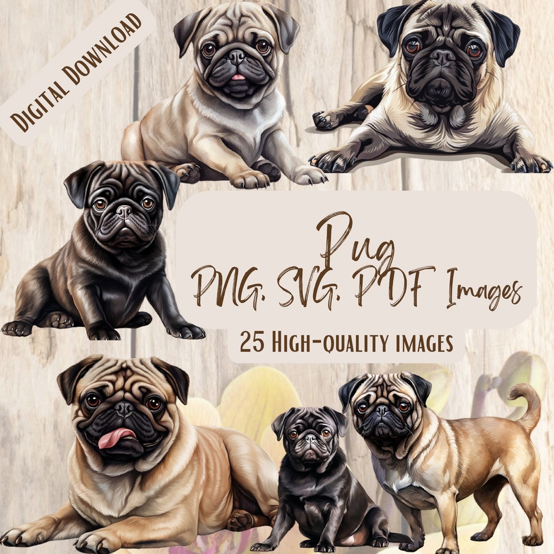 Pug PNG SVG Bundle 25 Images Digital Printable Vector Instant Download ...