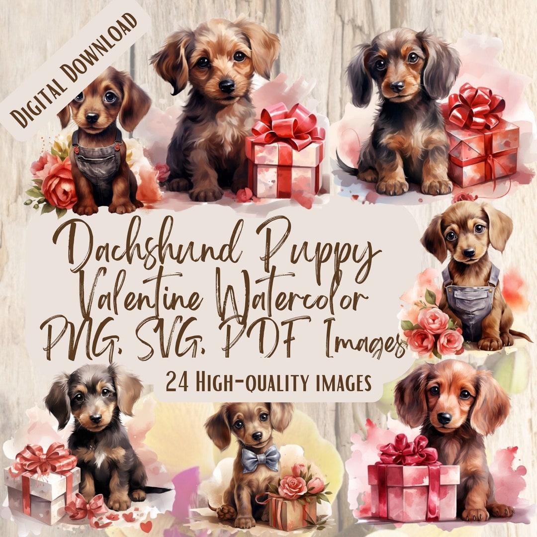 Dachshund Puppy Valentine Watercolor PNG SVG Bundle, 24 Adorable Dog ...