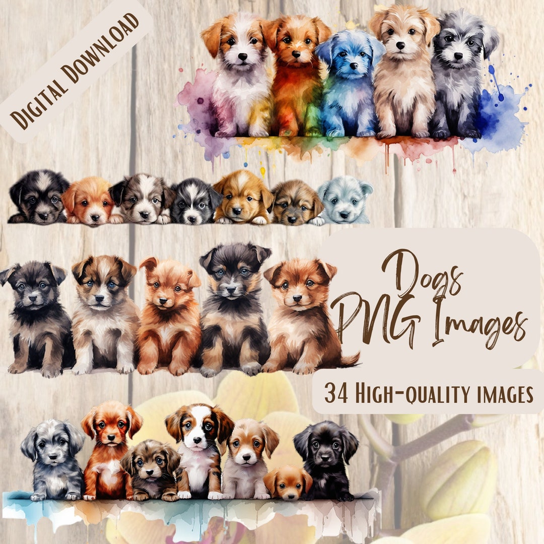 Dogs in Line PNG Bundle 34 Images Digital Printable Vector - Etsy