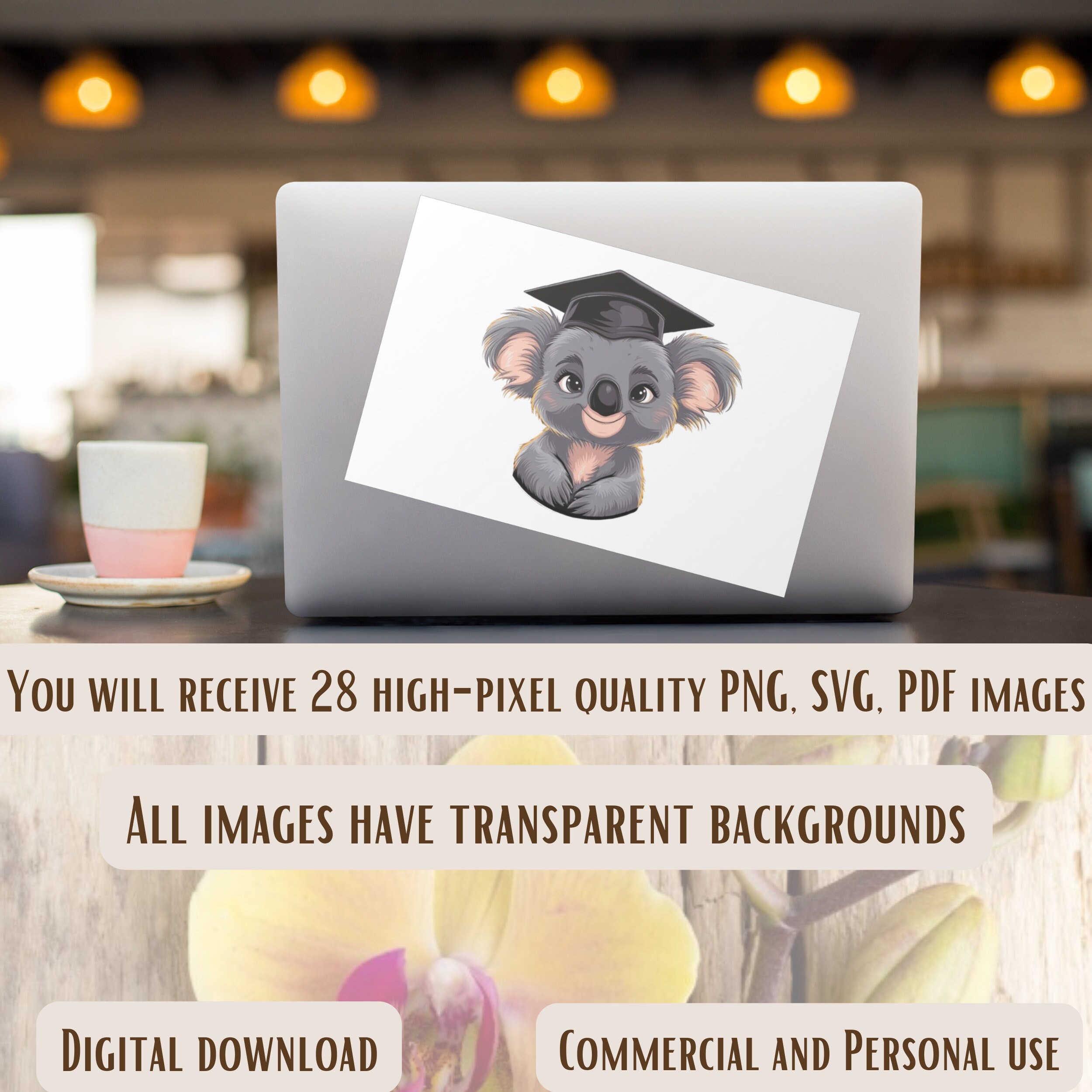 Koala Graduation PNG SVG Bundle 28 Images Digital Printable Vector ...