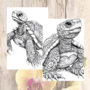50 Turtle Coloring Pages, Cute and Intricate Turtle Designs for ...