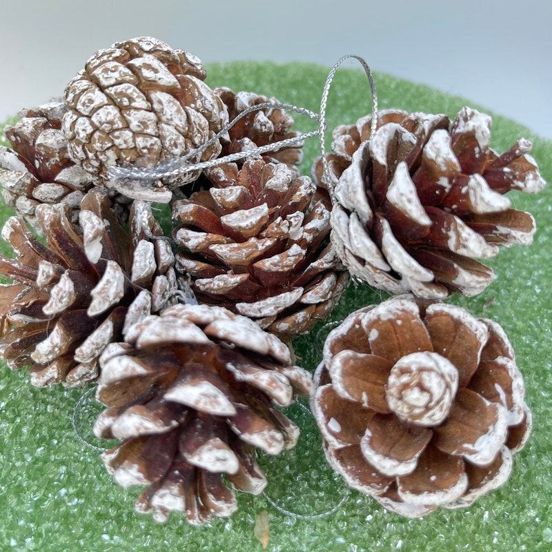 Painted Pine Cones - Etsy