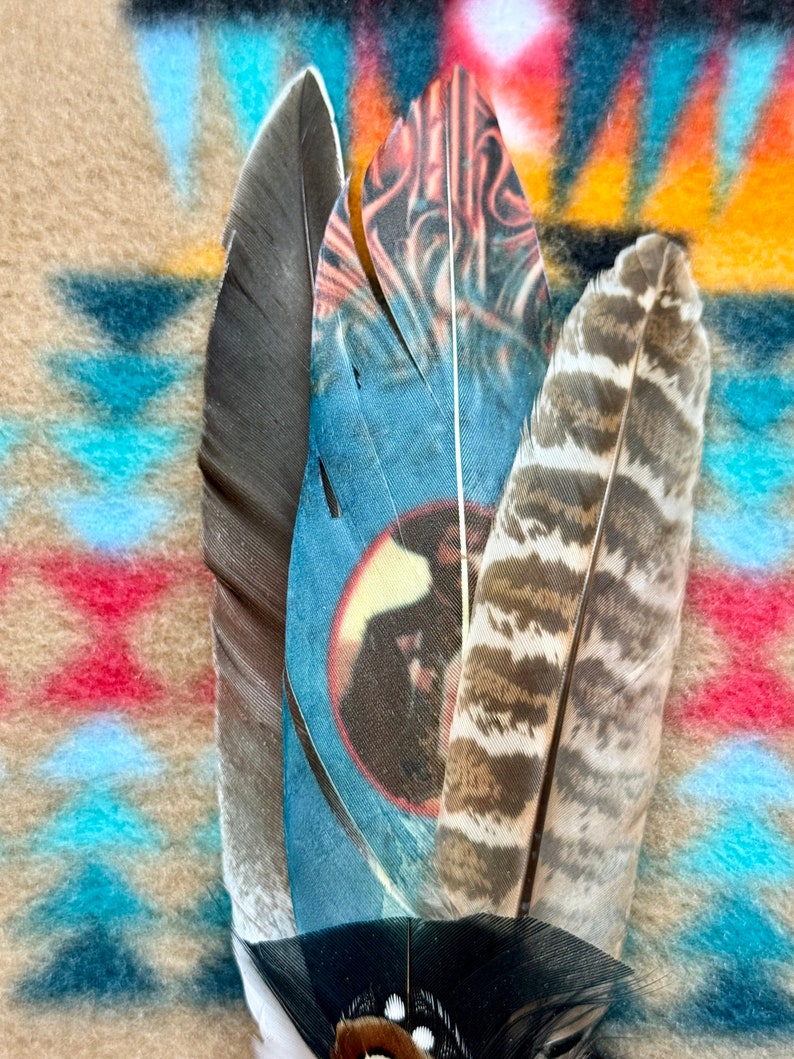 Hat Feather Bundle 10 Hat Feather Cowboy Hat Accessories - Etsy