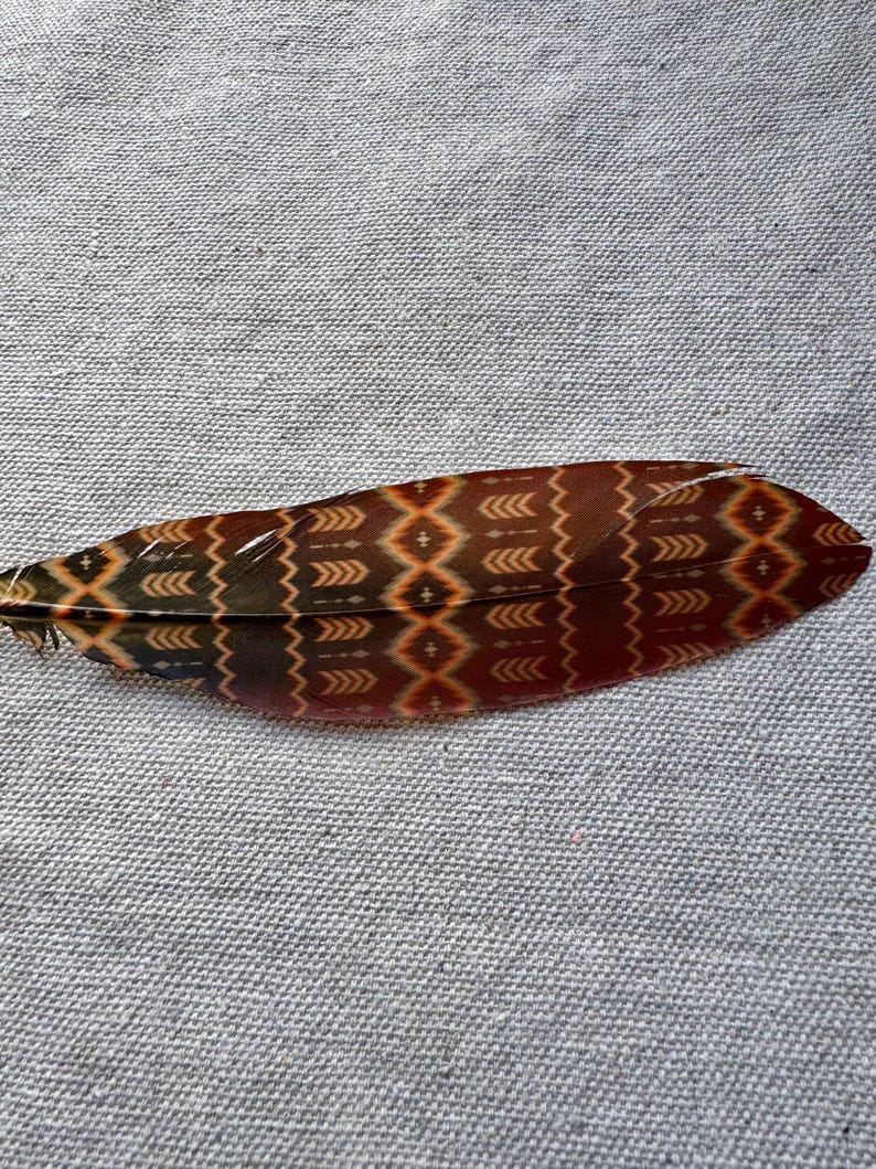 Faded Southwestern Hat Feather: Western Cowboy Cowgirl Hat Accessory - Etsy