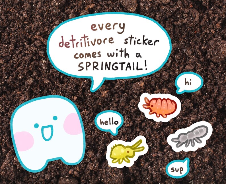 GRUB Sticker!! Cute Baby Beetle Water Resistant Sticker - Etsy