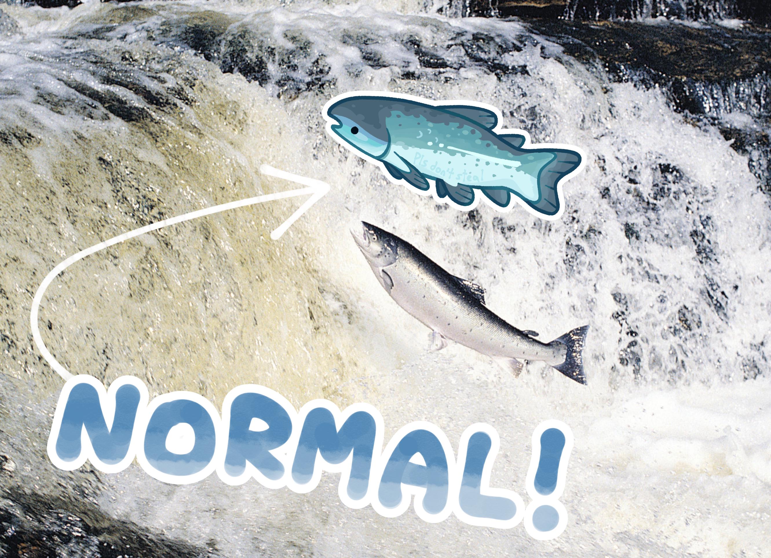 Salmon Stickers! Sockeye Fishy + More - Etsy