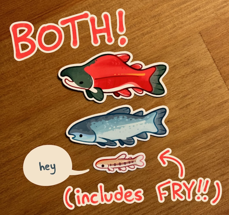Salmon Stickers! Sockeye Fishy + More - Etsy
