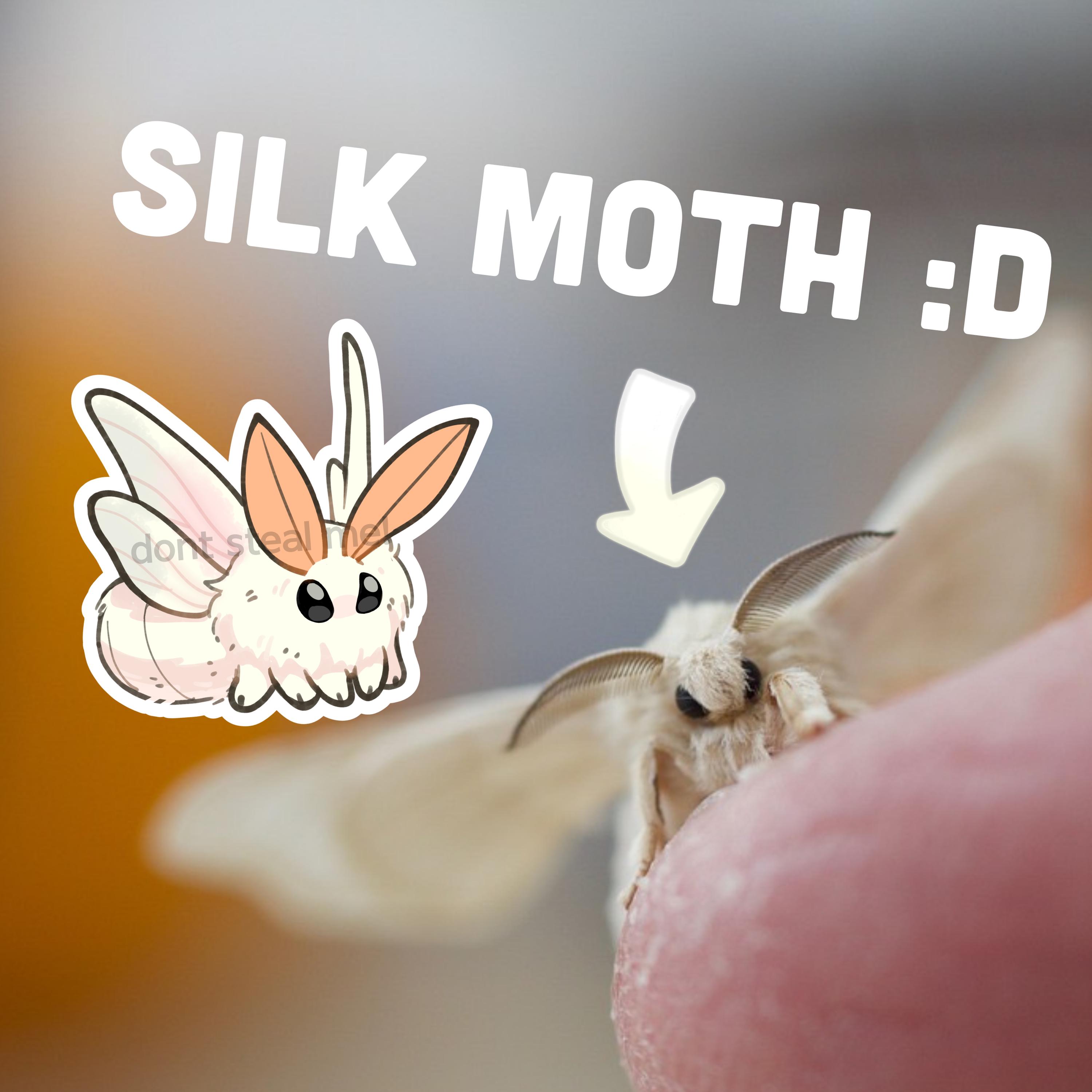 Domestic Silk Moth Stickers! (venezuelan Poodle Moth) - Etsy