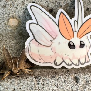 Domestic Silk Moth Stickers! (venezuelan Poodle Moth) - Etsy