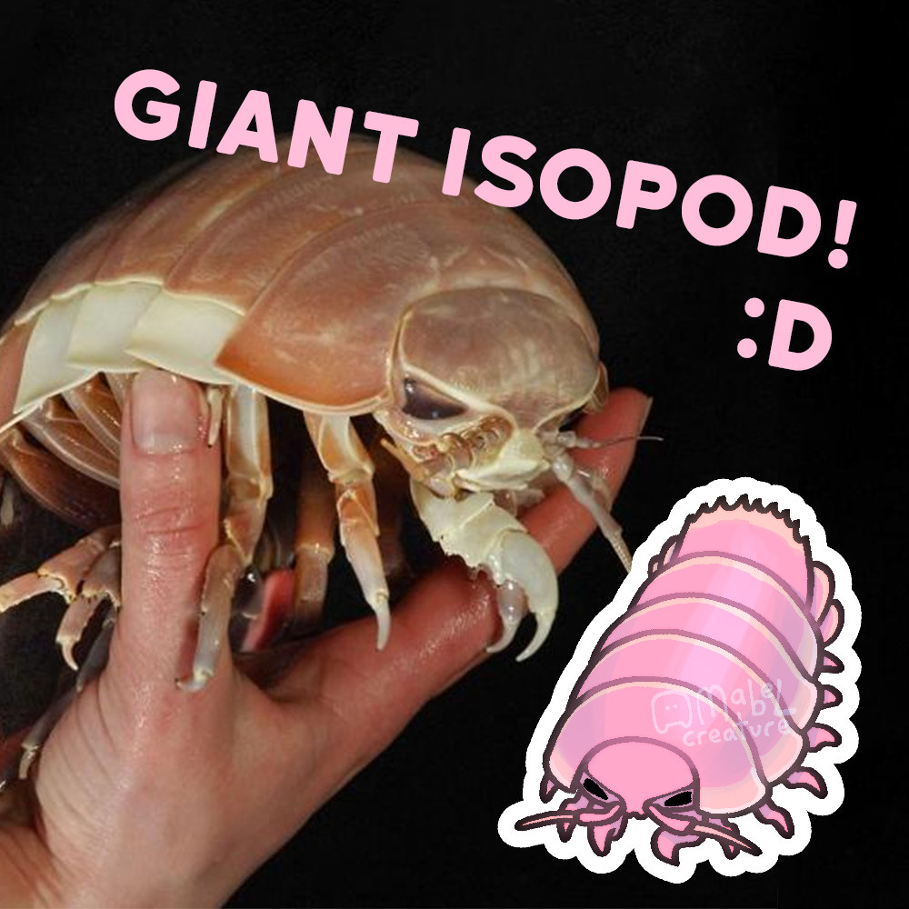 Isopod Stickers Rubber Ducky, Giant Isopod More - Etsy