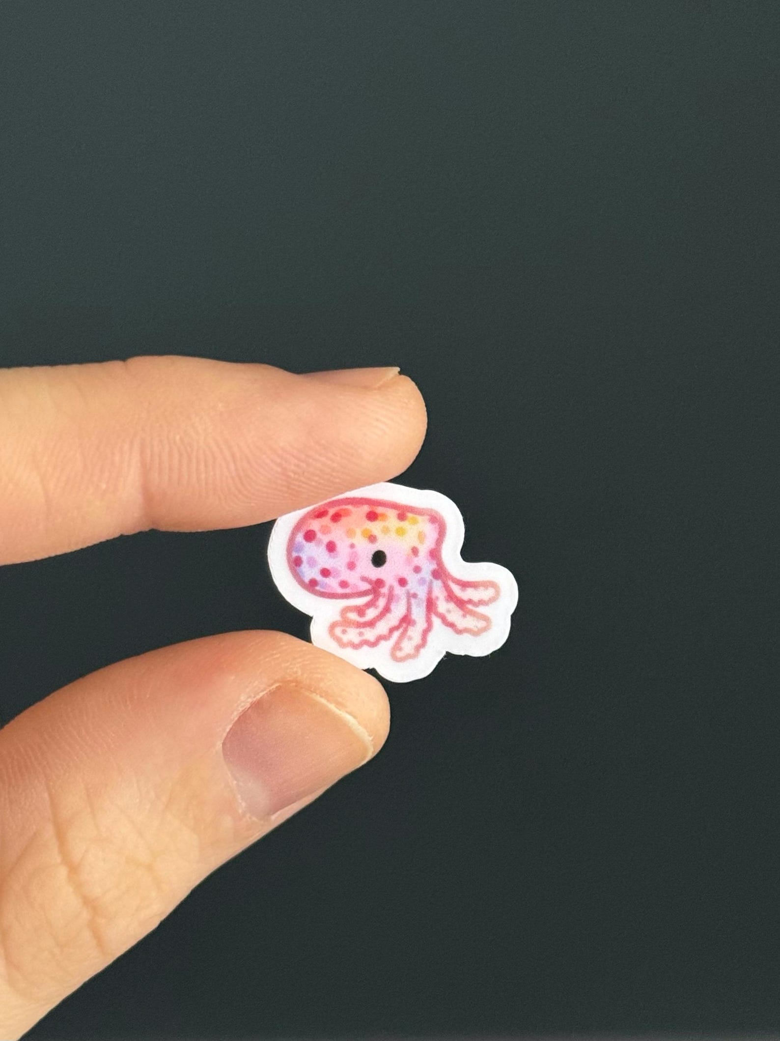 Octopus and Squid Stickers!! (dumbo, Giant, Bobtail, Etc) - Etsy