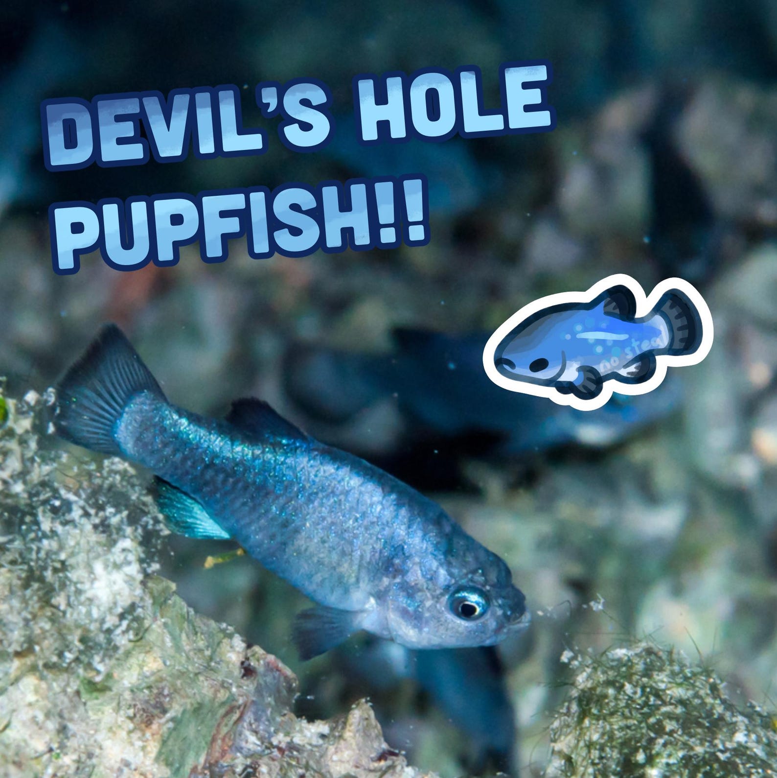 Tiny Fish Stickers!! - Etsy