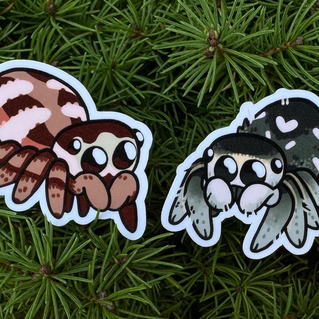Jumping Spider Stickers!! Water Resistant Regal + Zebra Jumpers - Etsy