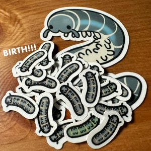 Millipede + Centipede Stickers!! Ivory Millipede + House Centipede ...