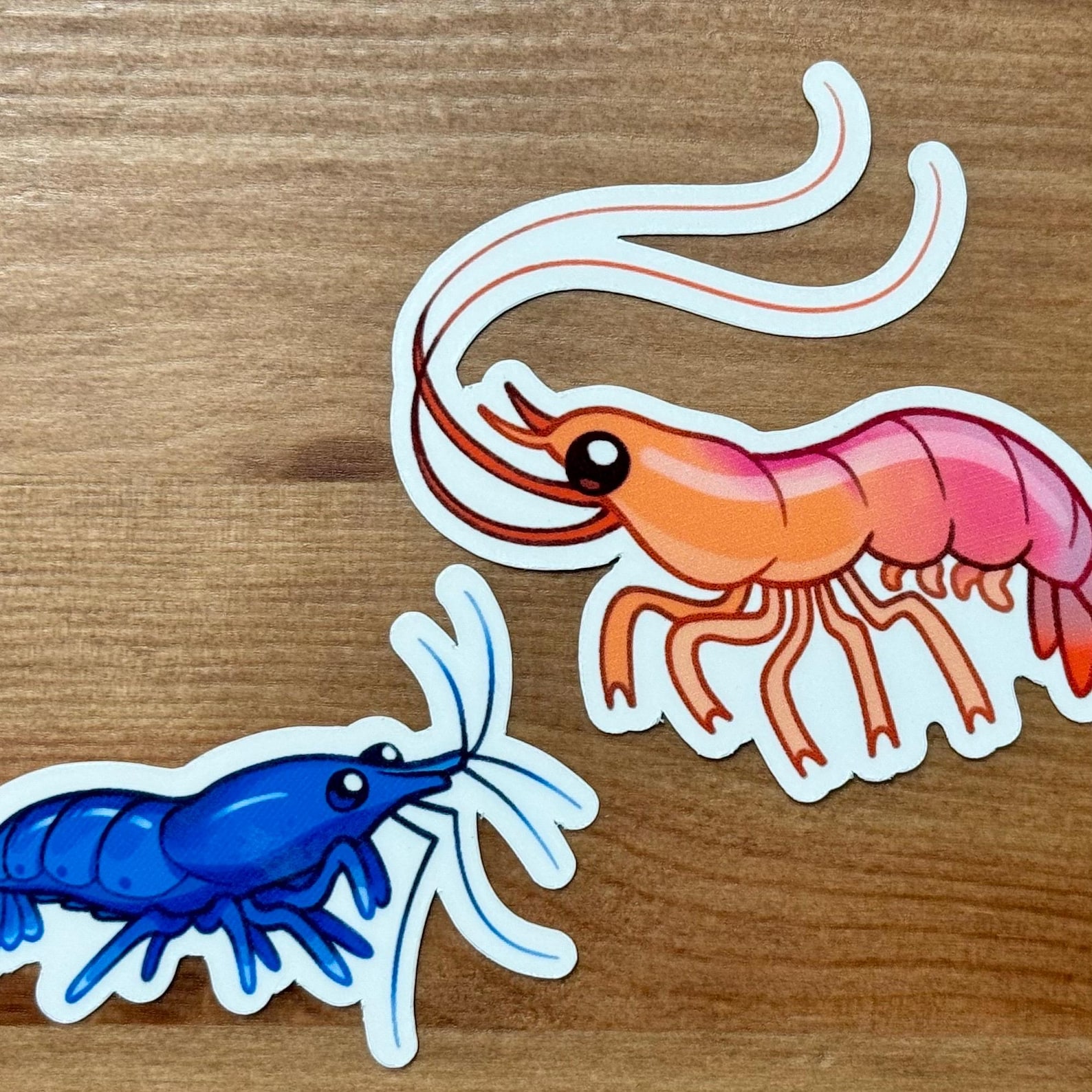 Shrimp Stickers!! - Etsy
