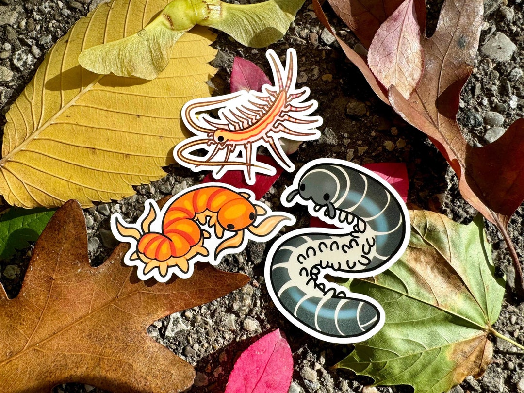 Millipede + Centipede Stickers!! Ivory Millipede + House Centipede ...