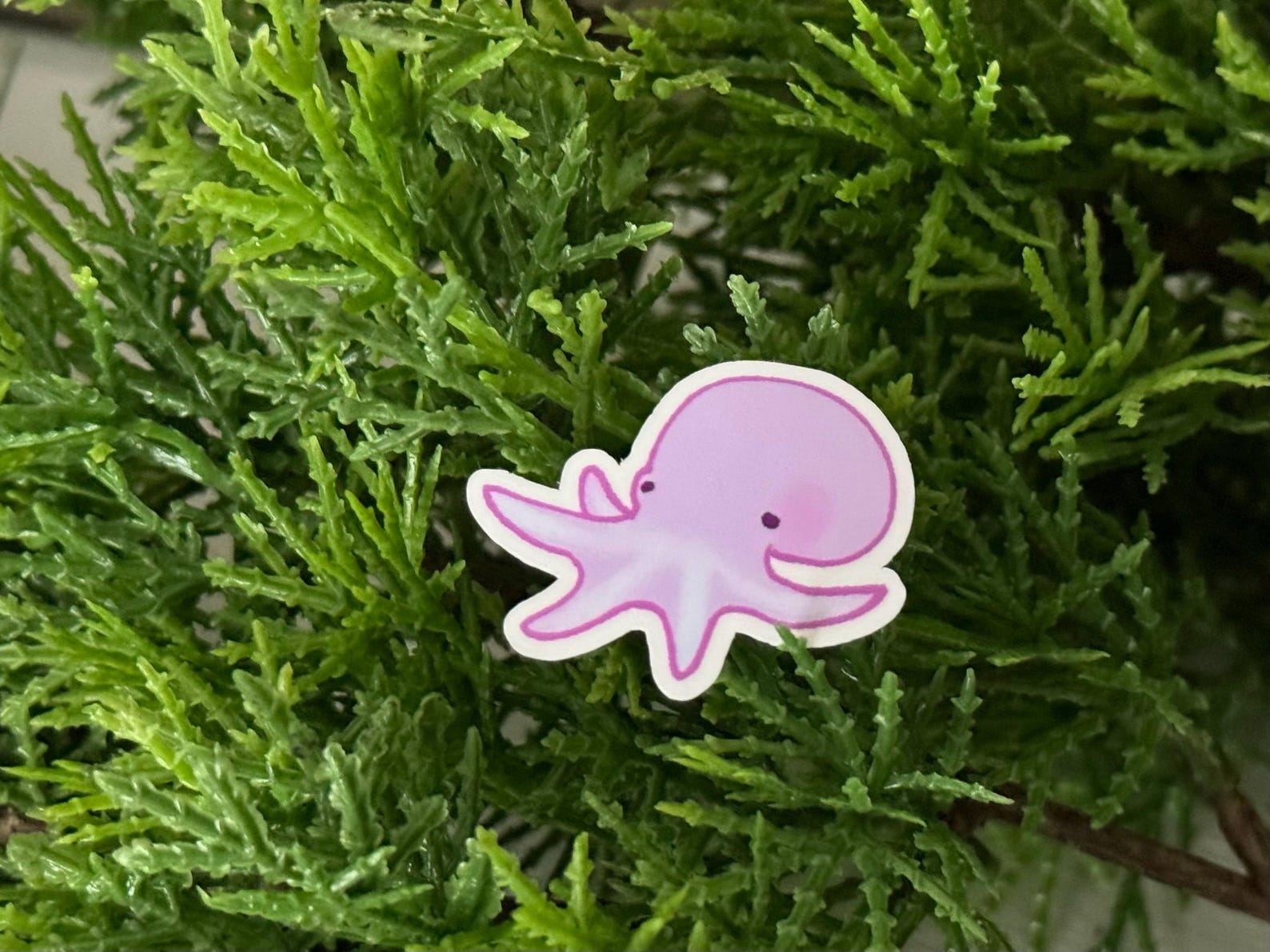 Octopus and Squid Stickers!! (dumbo, Giant, Bobtail, Etc) - Etsy
