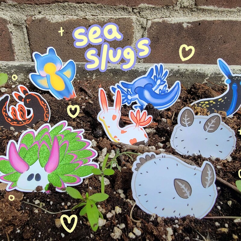 Sea "bunny" Slug Plush - Etsy