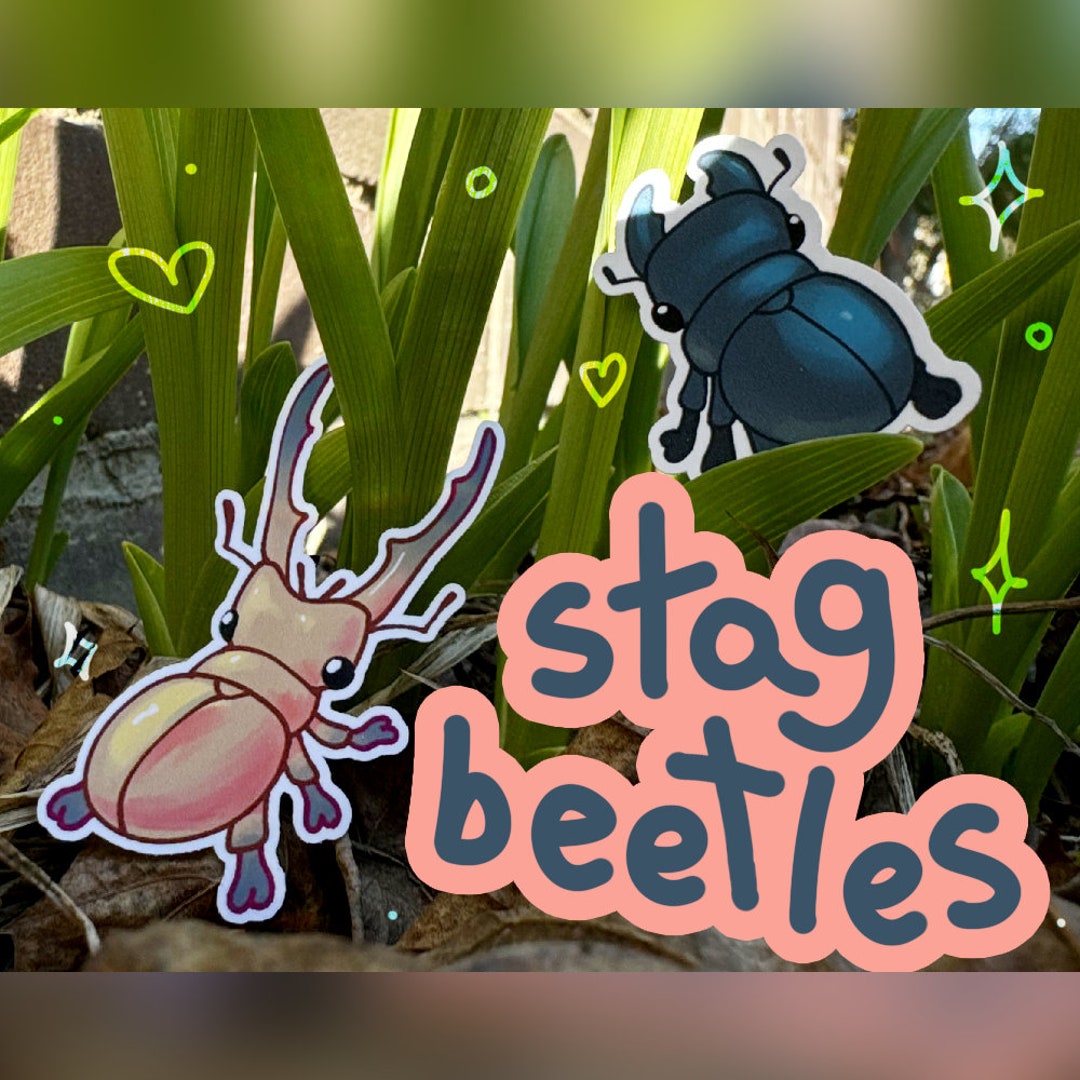 Stag Beetle Stickers! Cyclommatus + Lesser Stag - Etsy