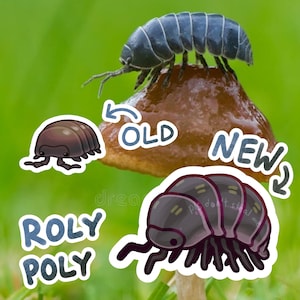 Isopod Stickers! Rubber Ducky, Giant Isopod + More - Etsy