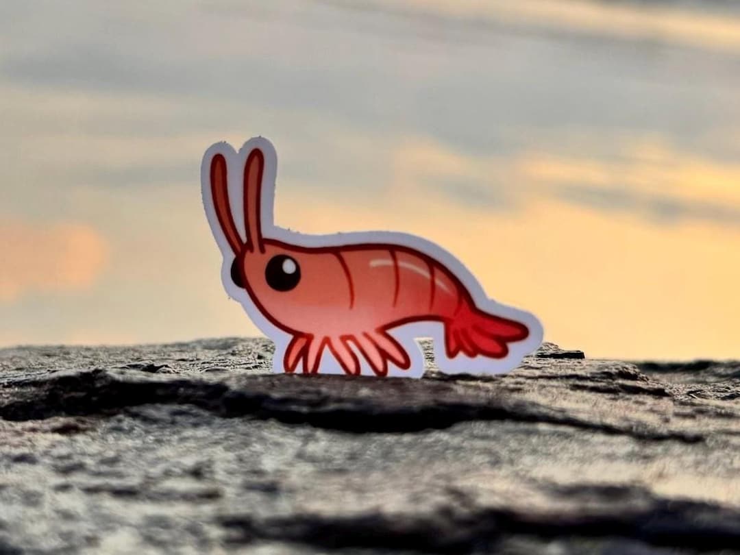 Shrimp Stickers!! - Etsy