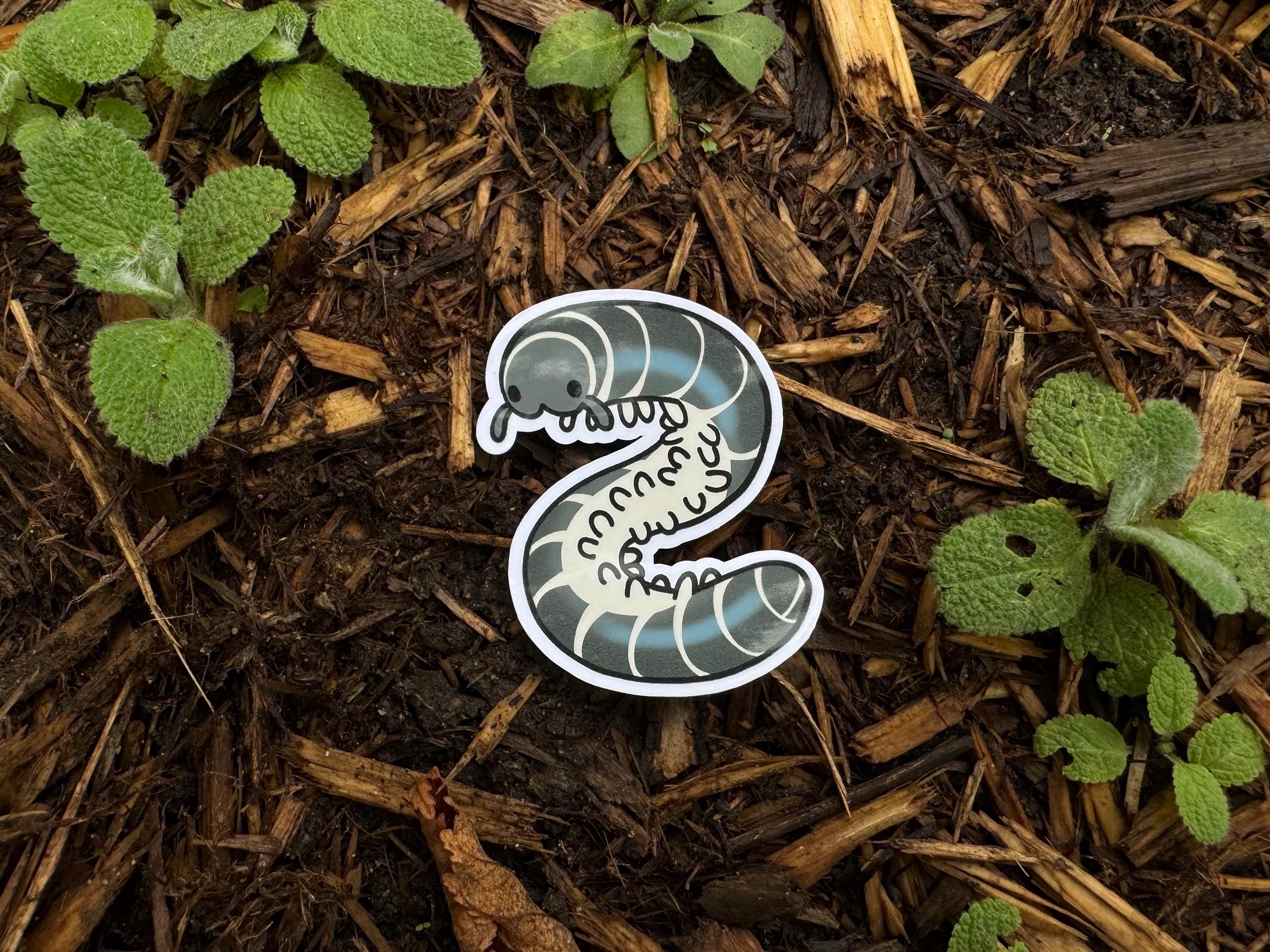 Millipede + Centipede Stickers!! Ivory Millipede + House Centipede ...