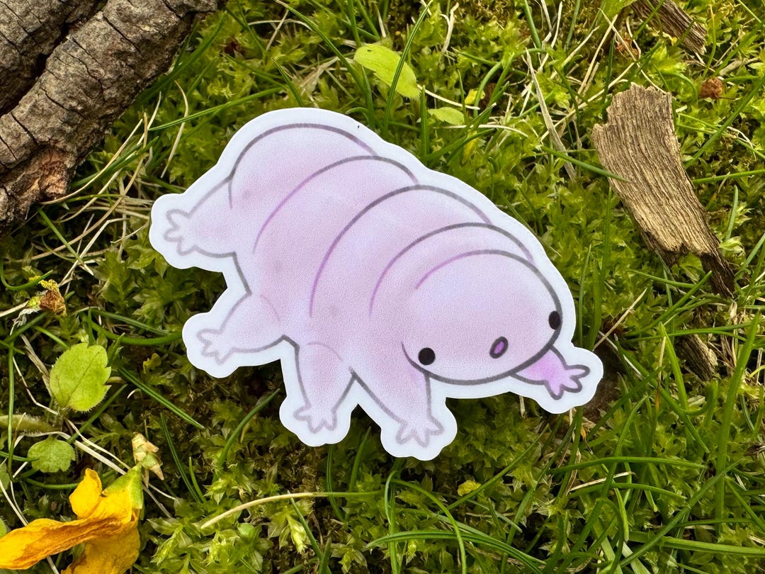 Tardigrade Stickers!! (water Bear / Moss Piglet) - Etsy