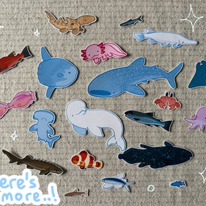 Ocean Fish Stickers! Coelacanth, Sunfish, Orca + More - Etsy