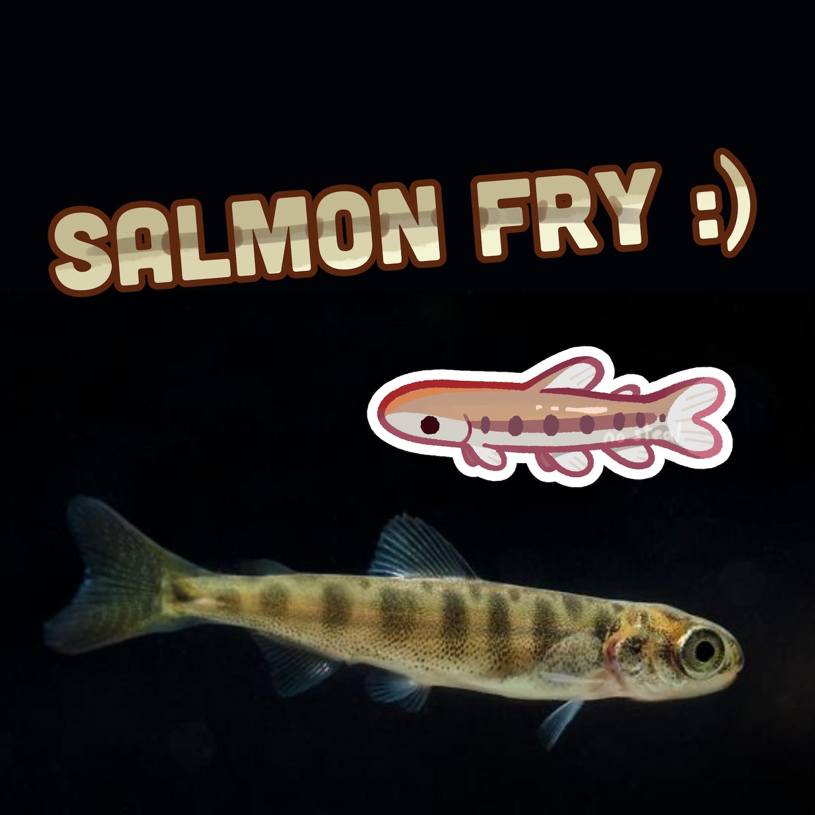 Tiny Fish Stickers!! - Etsy