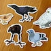 DAMN!! Pukeko Baby Bird Stickers - Etsy