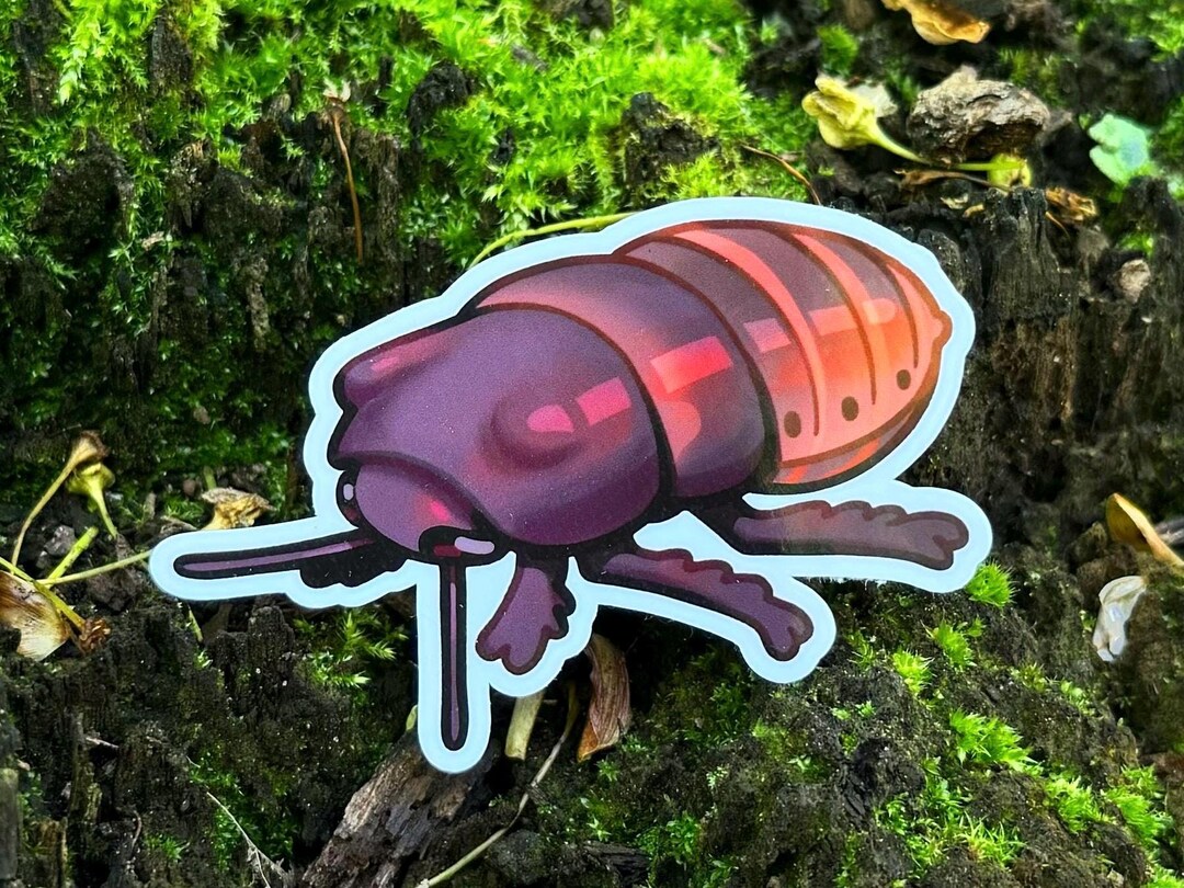 Madagascar Hissing Cockroach Stickers!! (hisser Roach) - Etsy