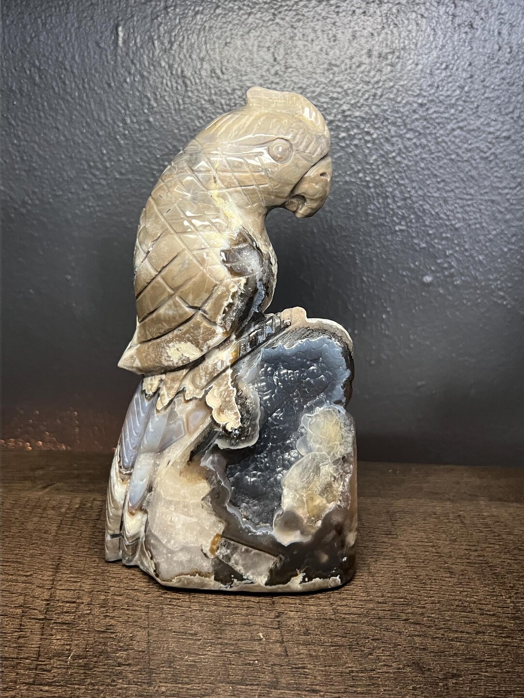 Volcano Agate Parrot - Etsy