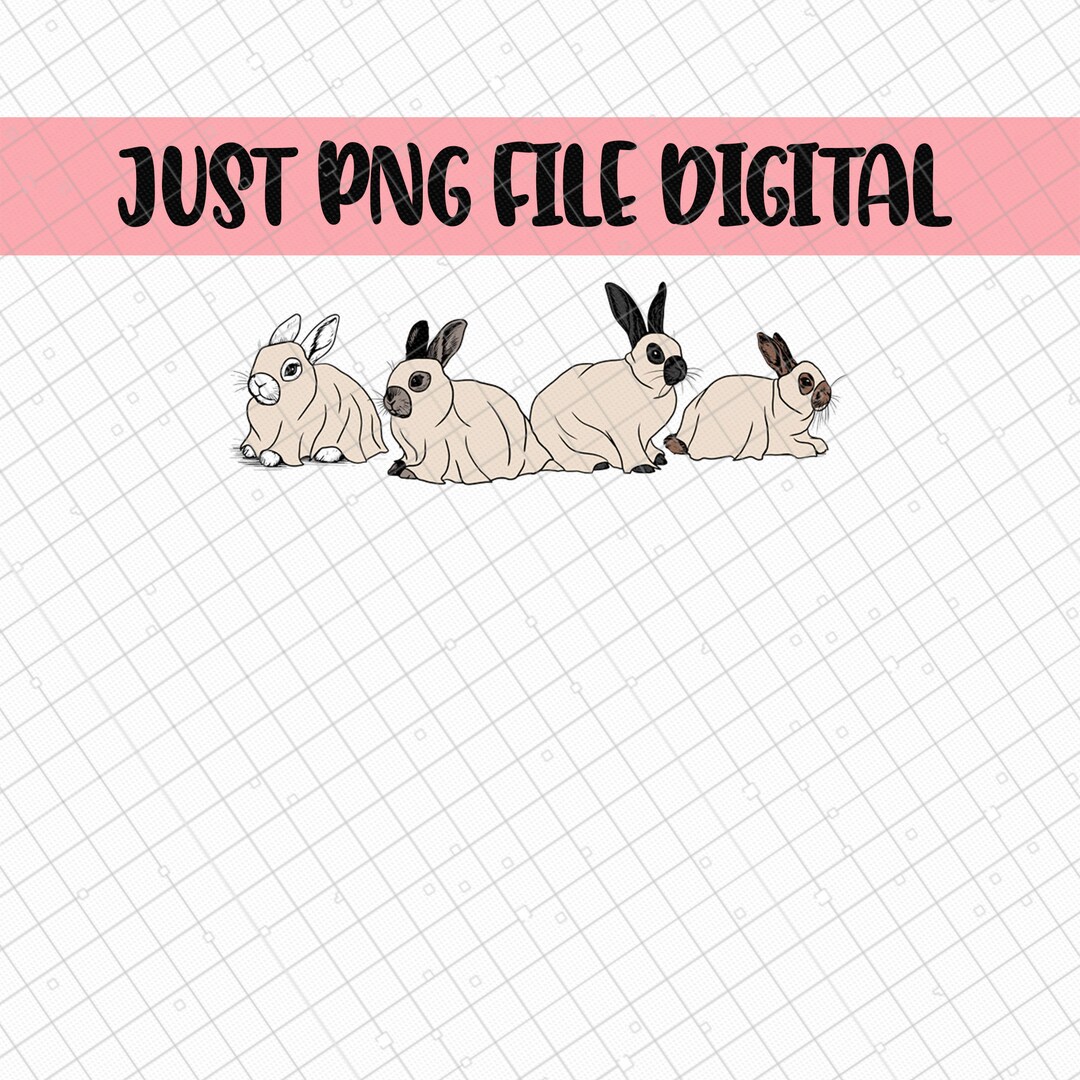 Cute Ghost Rabbits Png Ghost Rabbit Scary Pumpkin Png Rabbit - Etsy