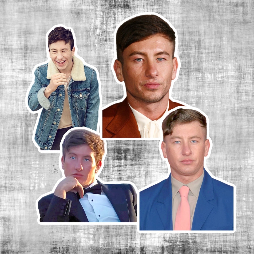 Barry Keoghan, Irish Actor, Stickers, Set, Bundle 4 Pack - Etsy