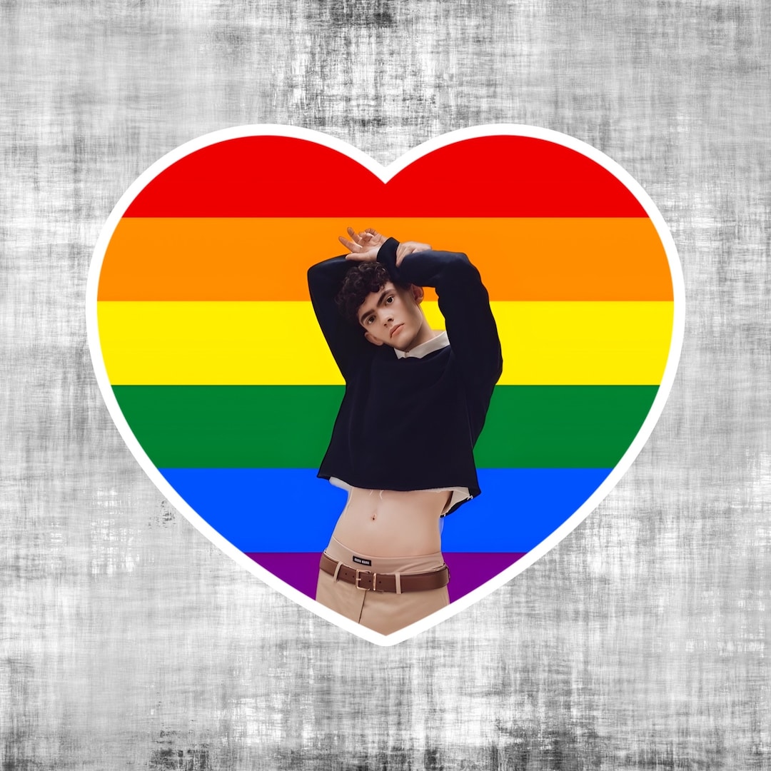 Joe Locke, Charlie Spring, Inspired Pride Flag, Heart Sticker - Etsy