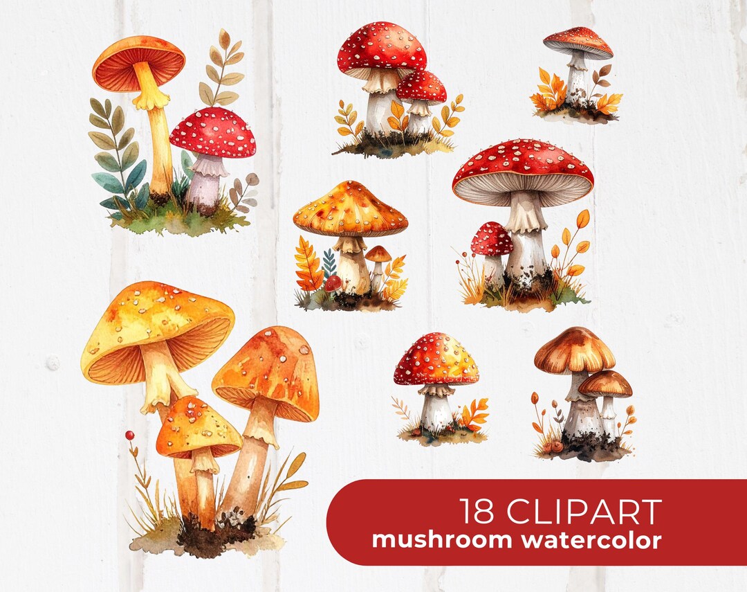 Mushroom Clip Art Set | Watercolor | Autumn Fall Clipart | Digital ...