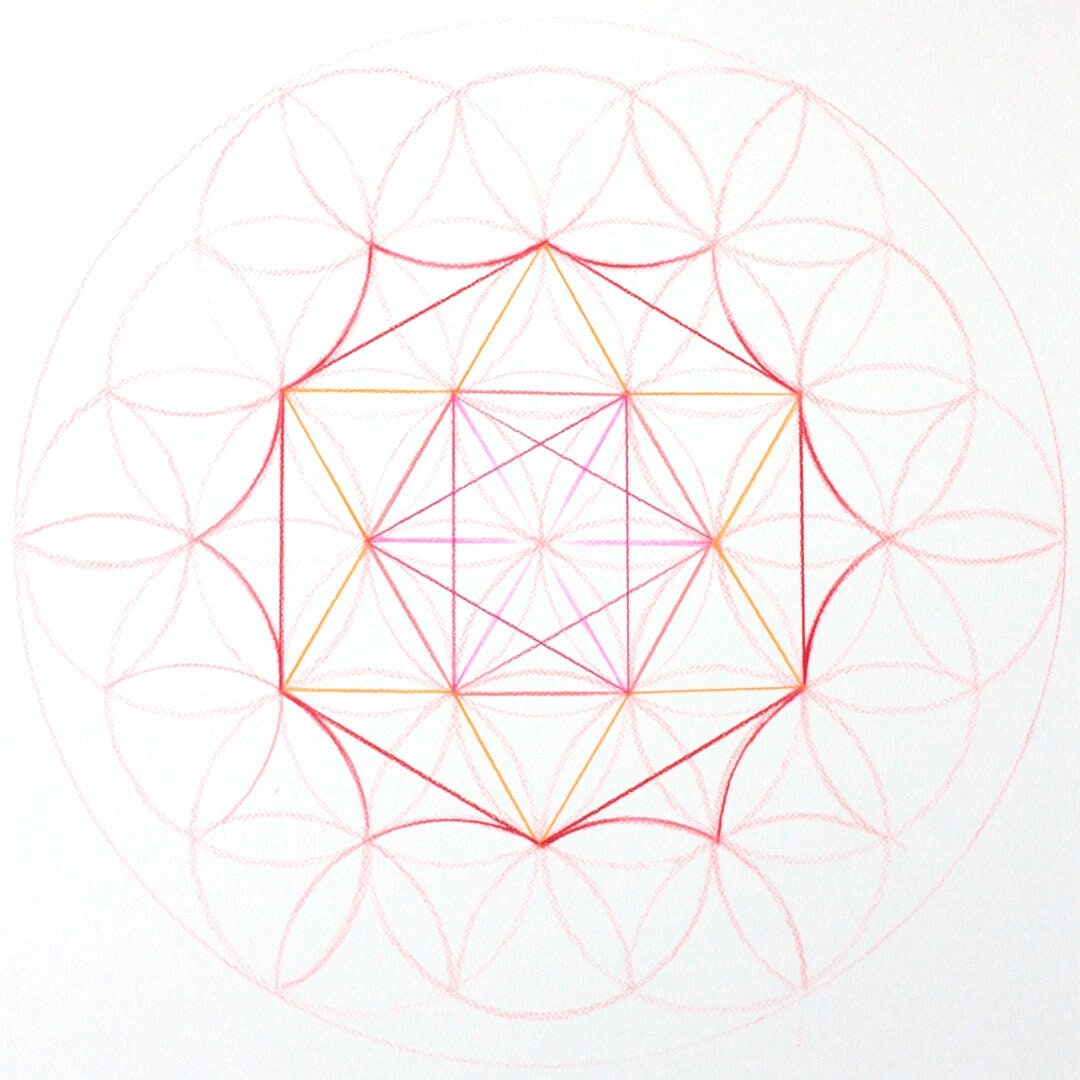 Pink Flower of Life in Pencils 50x70cm - Original Drawing - Etsy UK