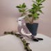 Handmade Felt Cockatiel Bird | Realistic Felt Bird Ornament ...
