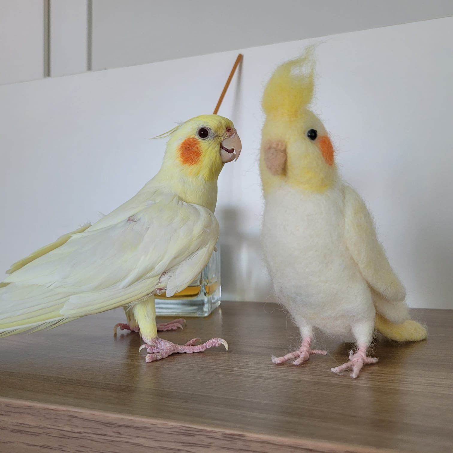 Personalized Needle Felted Bird, Cute Animals, Parrot, Special Day Gift ...