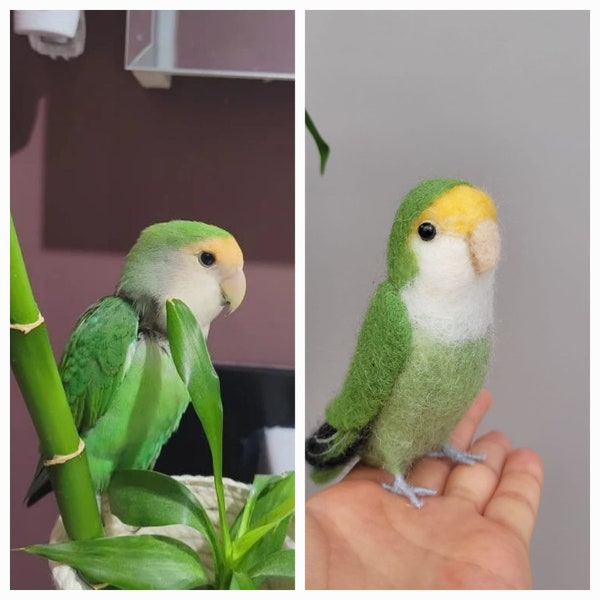 Needle Felted Parrot - Etsy
