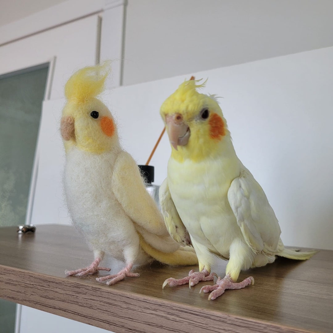 Personalized Needle Felted Bird, Cute Animals, Parrot, Special Day Gift ...