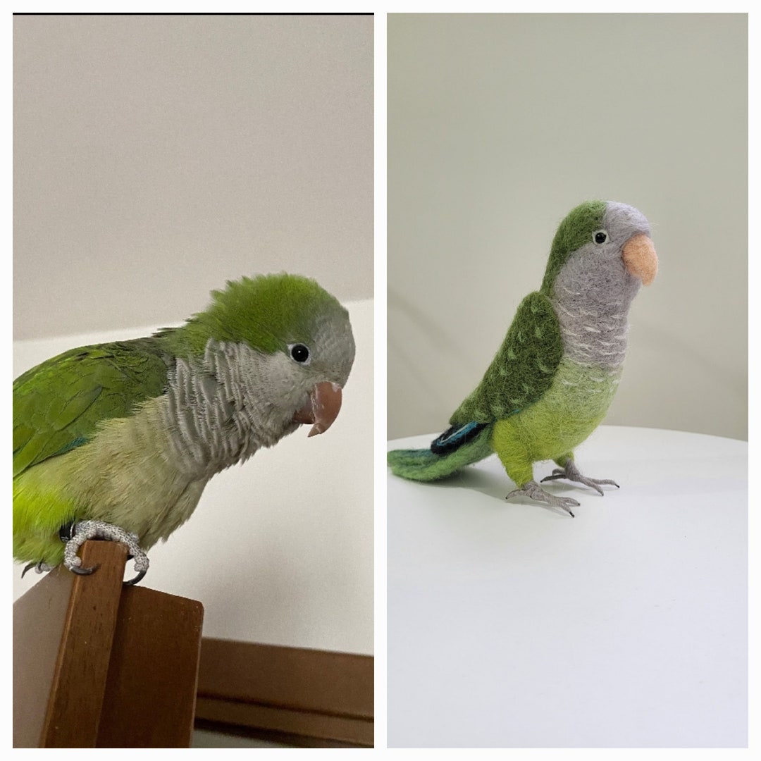 Needle Felted Wool Green Quaker Parrot, Green Parrot, Conure Parrot ...
